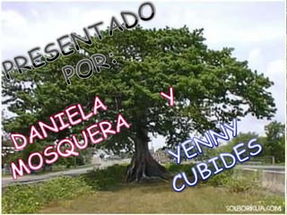 Powerpoint cubides | PPT