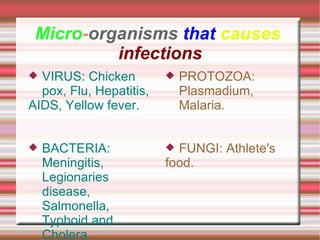 Power point de bilingüe | PPT