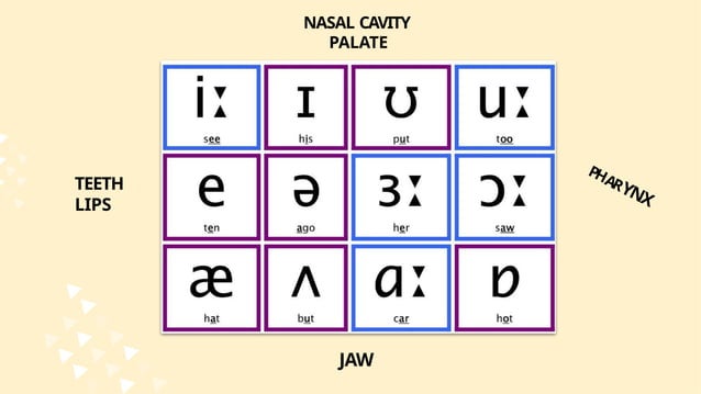 Introduction to the vowels sounds, everything you need to know | PPTX