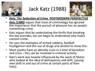 CRIME & MASCULINITIES powerpoint | PPTX