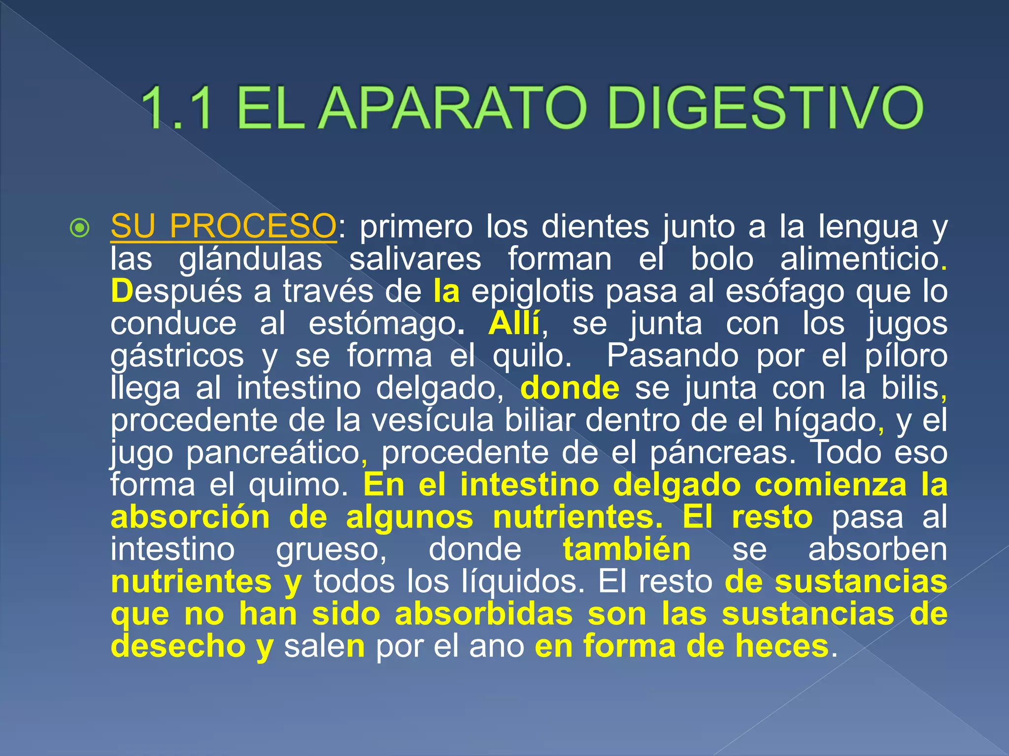Función de Nutrición y sus aparatos. | PPT