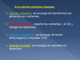 Función de Nutrición y sus aparatos. | PPTX