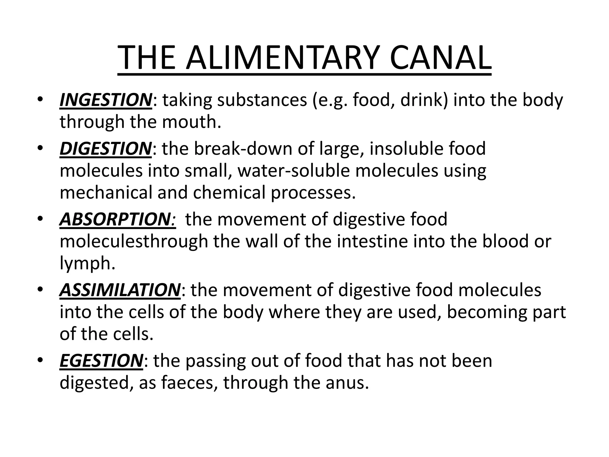 Powerpoint digestive system | PPT