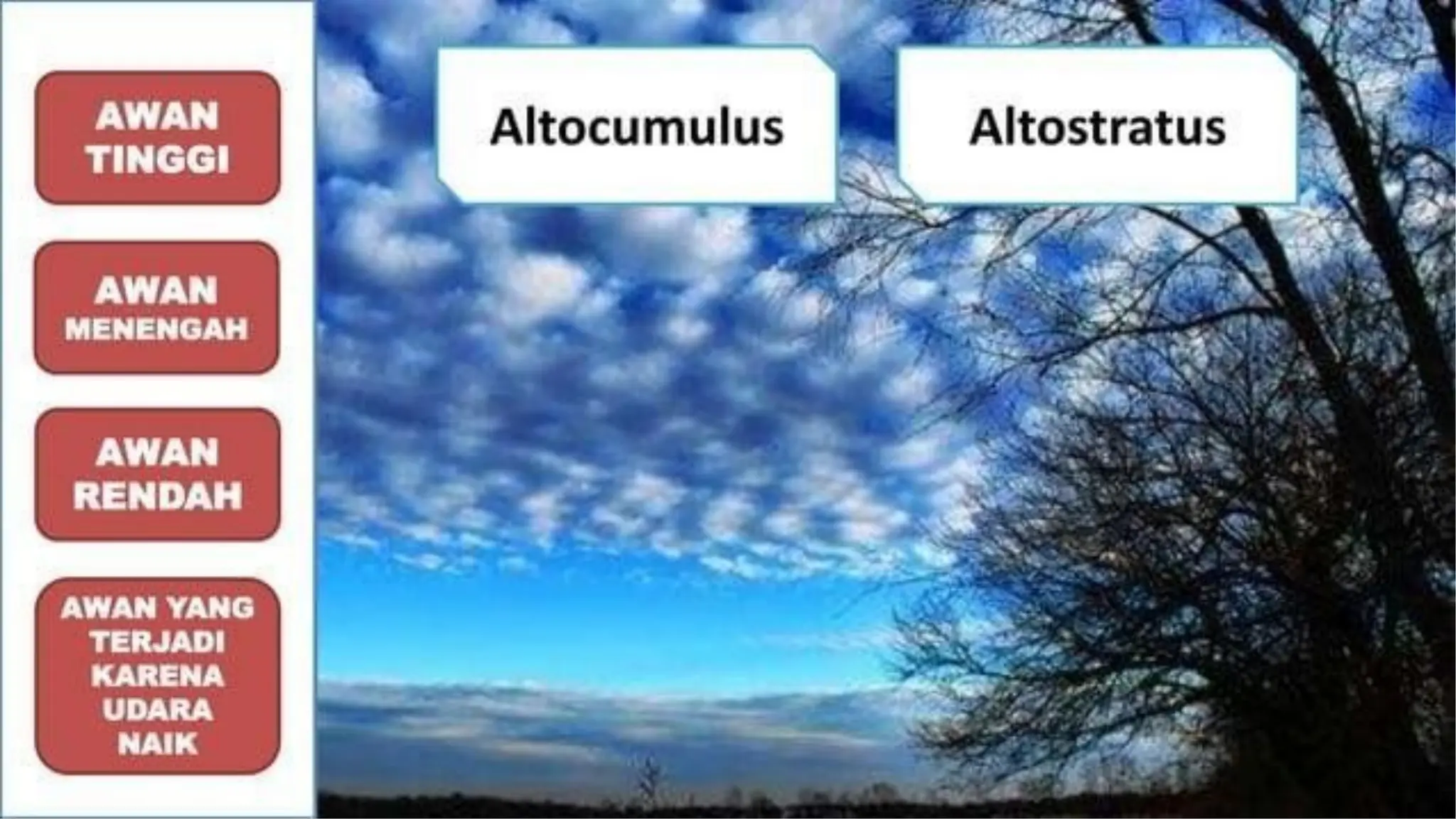 POWERPOINT DINI NUR AS’SYIAH.pdf, JENIS JENIS AWAN | PDF