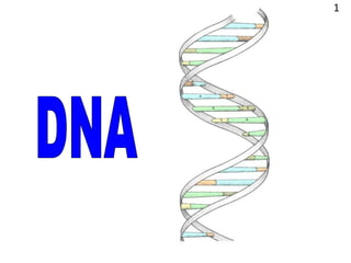 Powerpoint dna short | PPTX