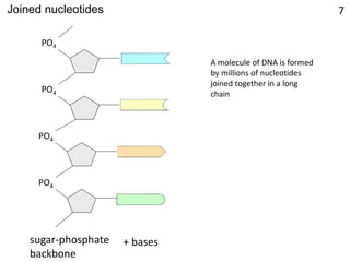 Powerpoint dna short | PPTX