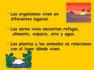 Power Point Dónde viven los animales Segundo AñO BáSico | PPT