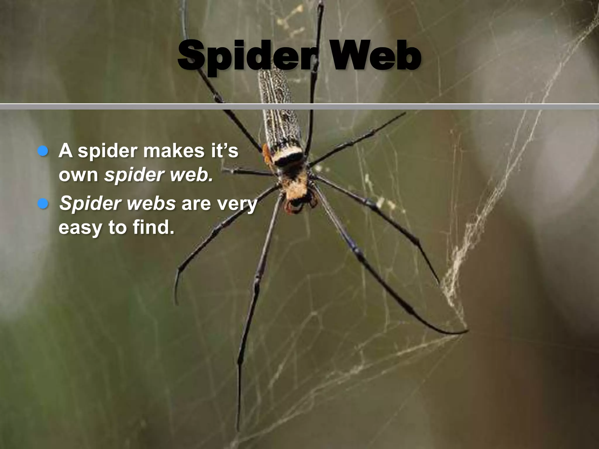 Powerpoint Edu 290 with narrative | PPTX