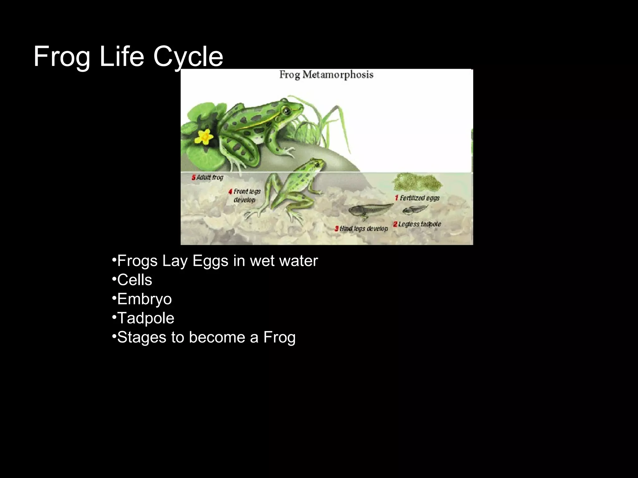 Power point eduu 551 | PPT