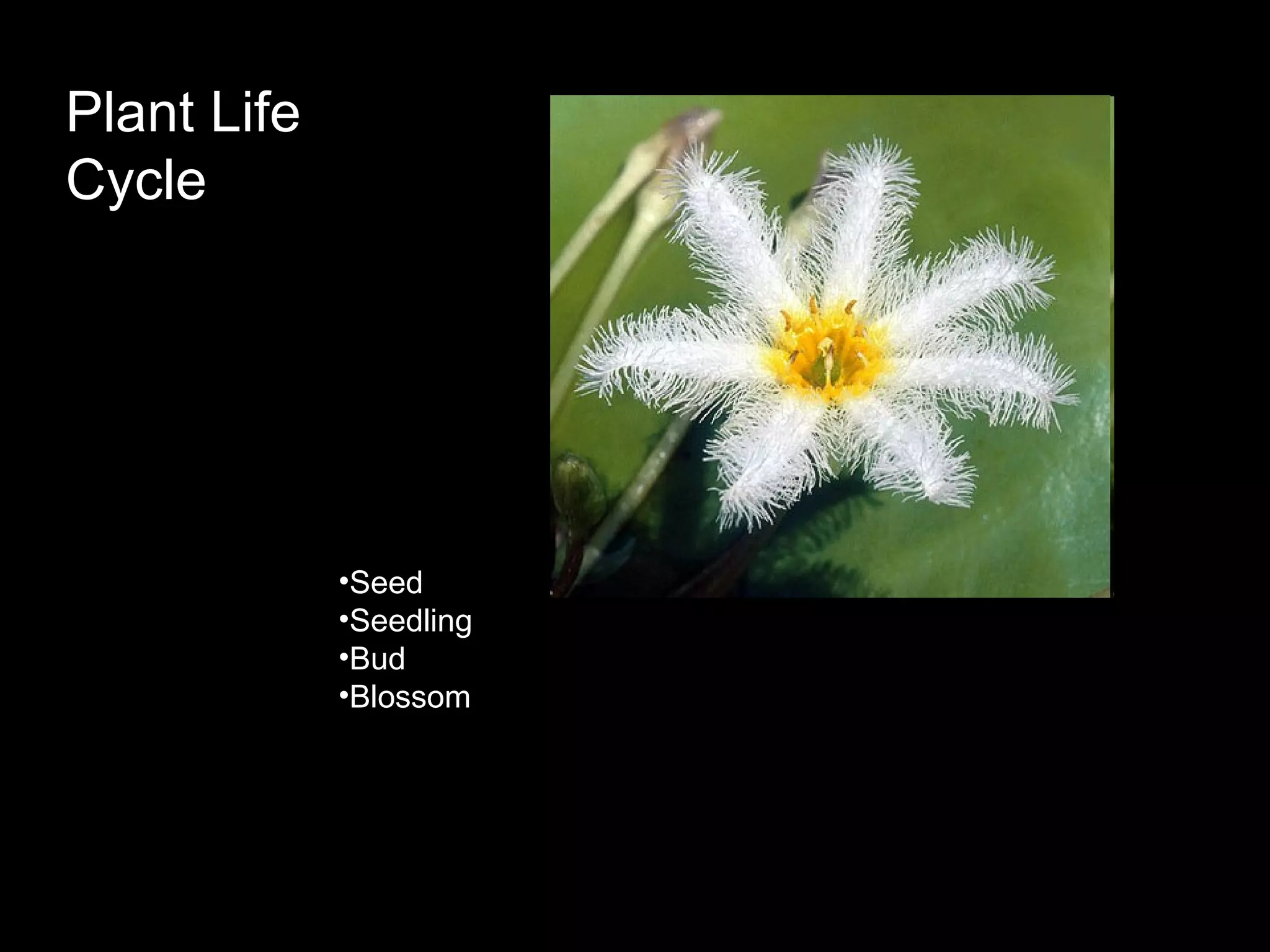 Power point eduu 551 | PPT