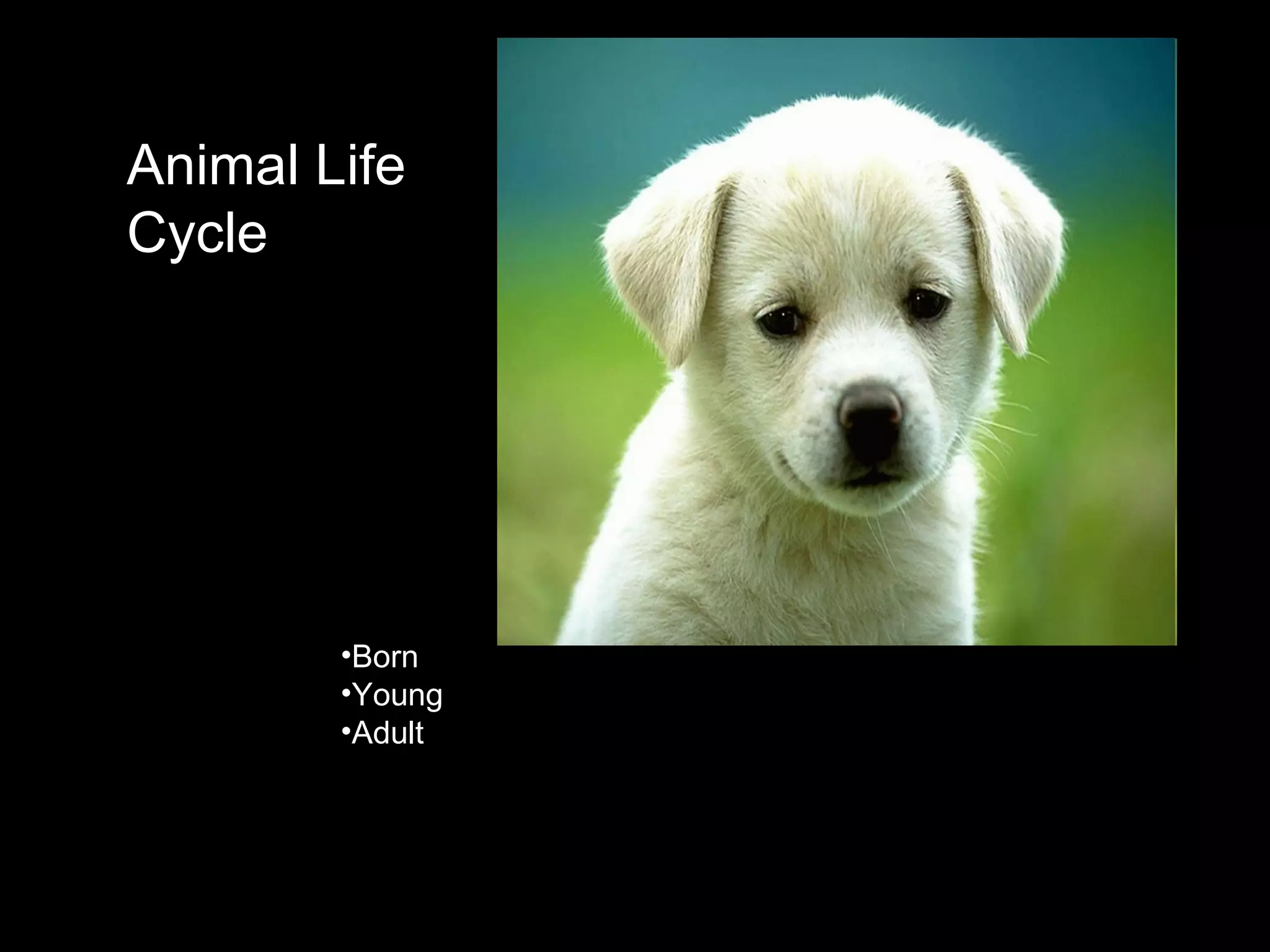 Power point eduu 551 | PPT | Free Download