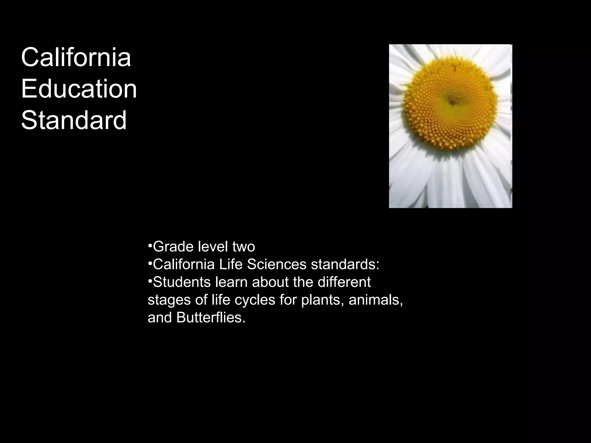 Power point eduu 551 | PPT | Free Download