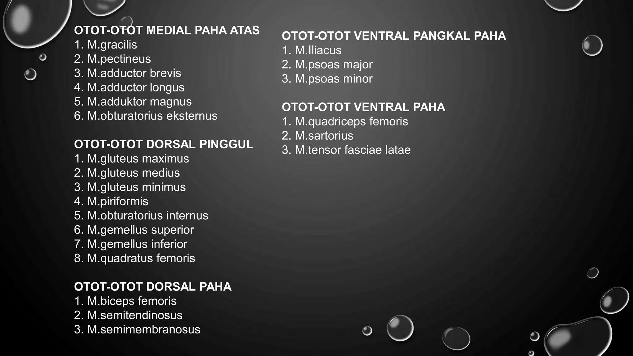 power_point_ekstrimitas_inferior.pptx