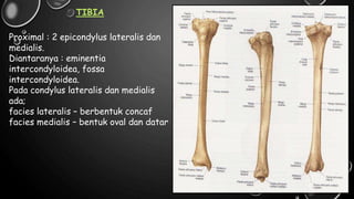 power_point_ekstrimitas_inferior.pptx