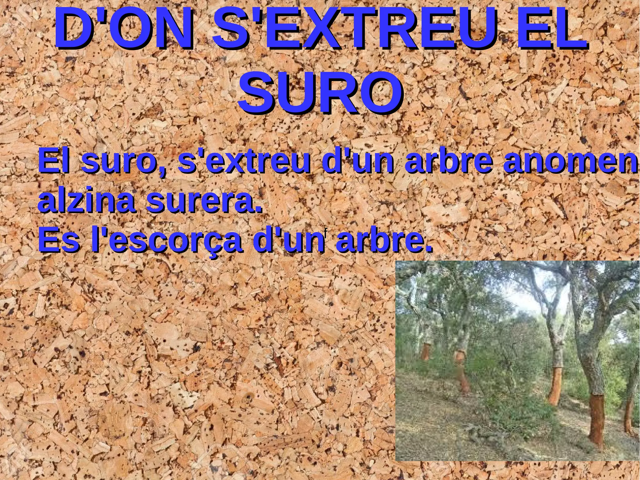 Power point el suro | ODP