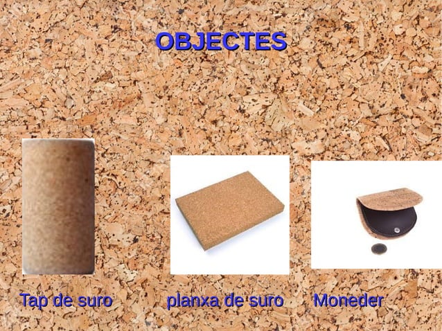 Power point el suro | ODP