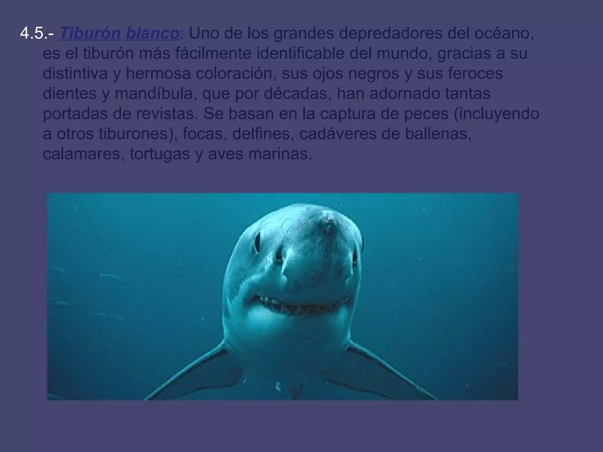 Powerpoint (el tiburón) | PPT