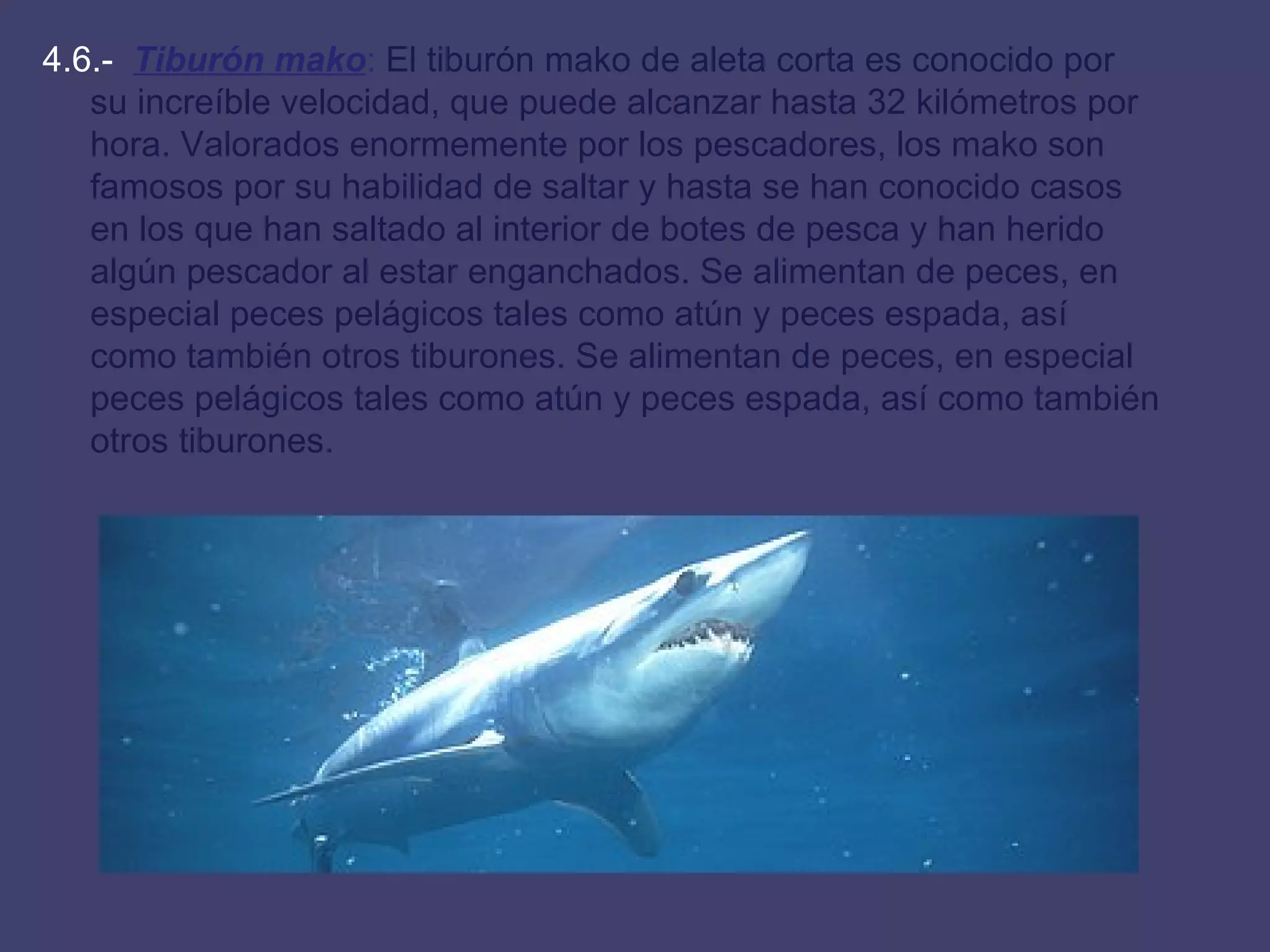 Powerpoint (el tiburón) | PPT
