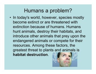 Power Point Endanderd | PDF