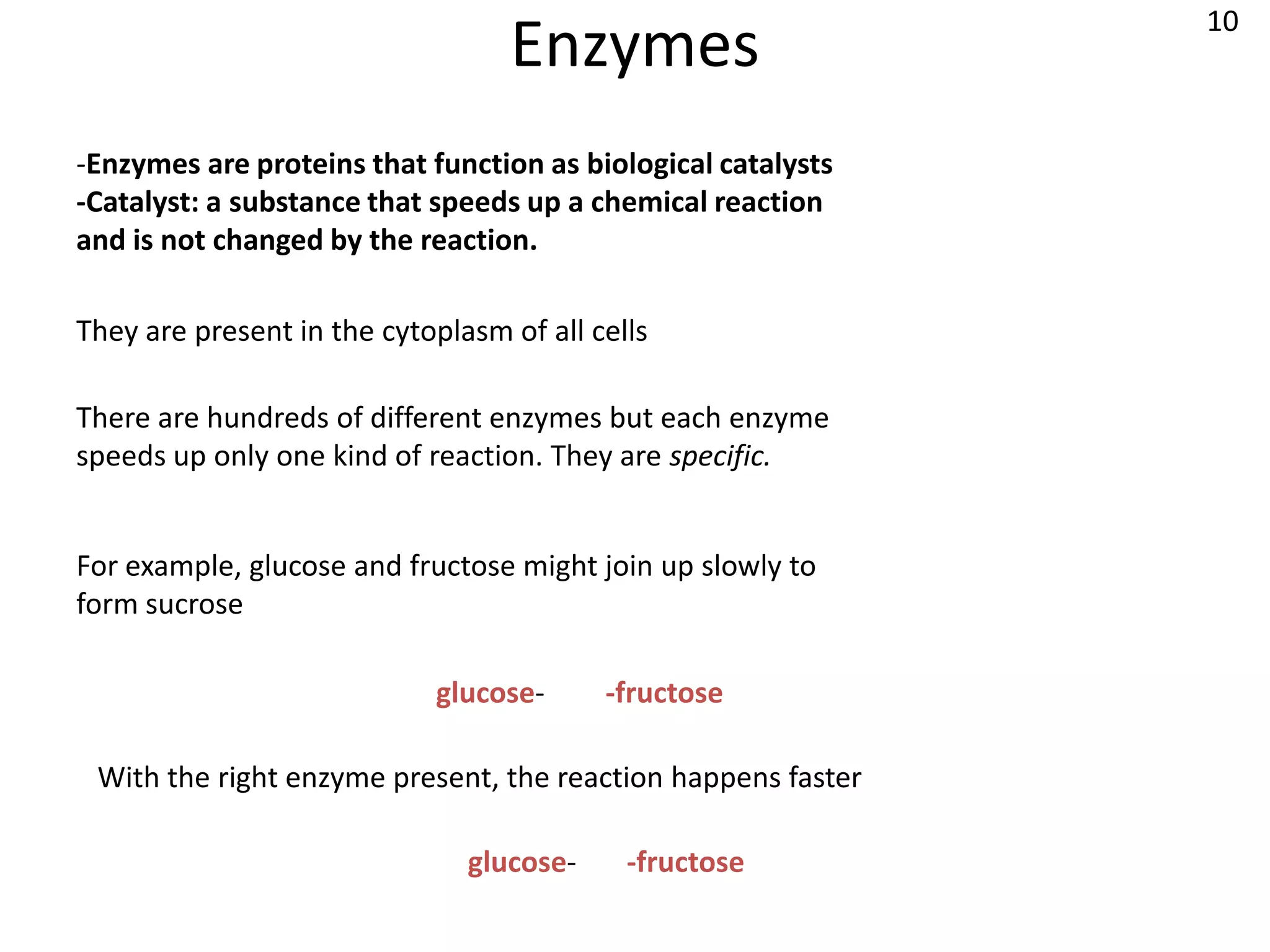 Powerpoint enzymes | PPTX