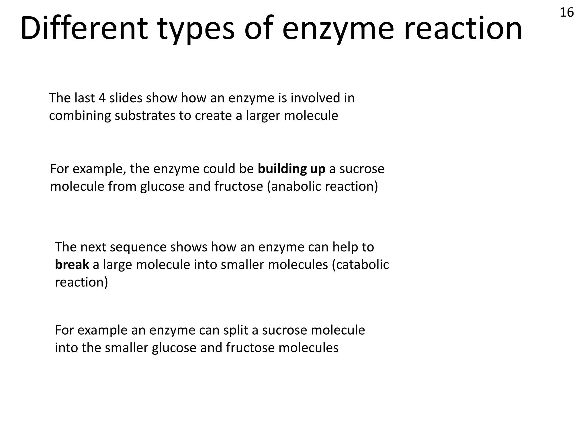 Powerpoint enzymes | PPTX