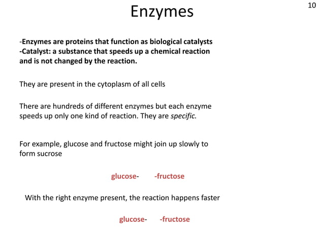 Powerpoint enzymes | PPTX | Chemistry | Science