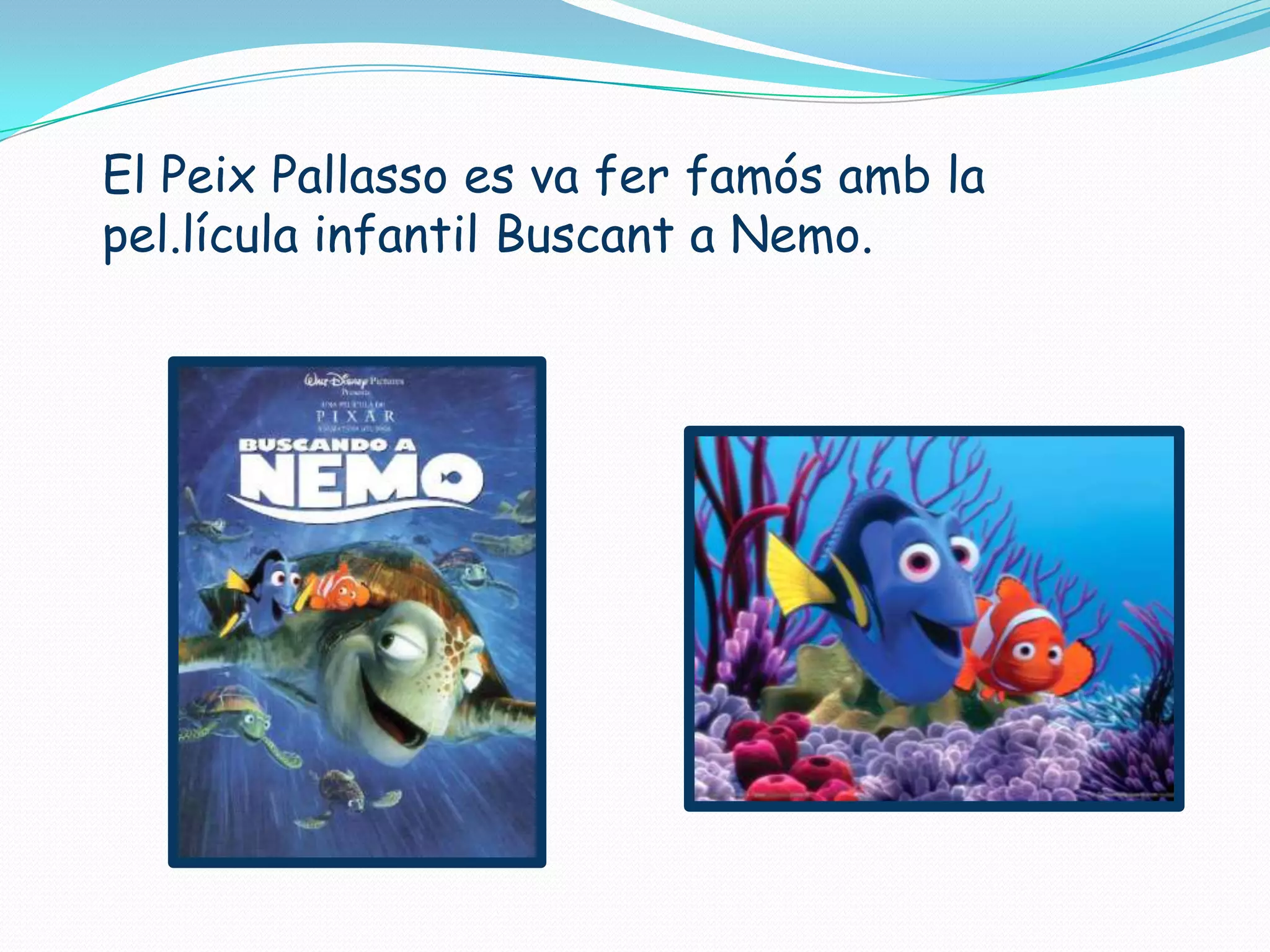 Powerpoint erik nemo | PPTX
