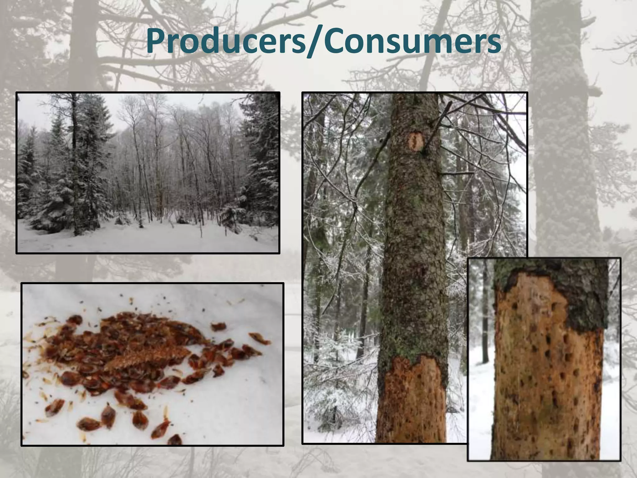 Power point exp. | PPT