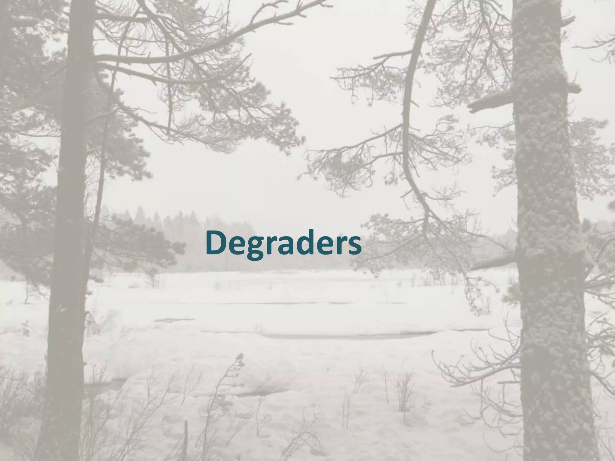 Power point exp. | PPT