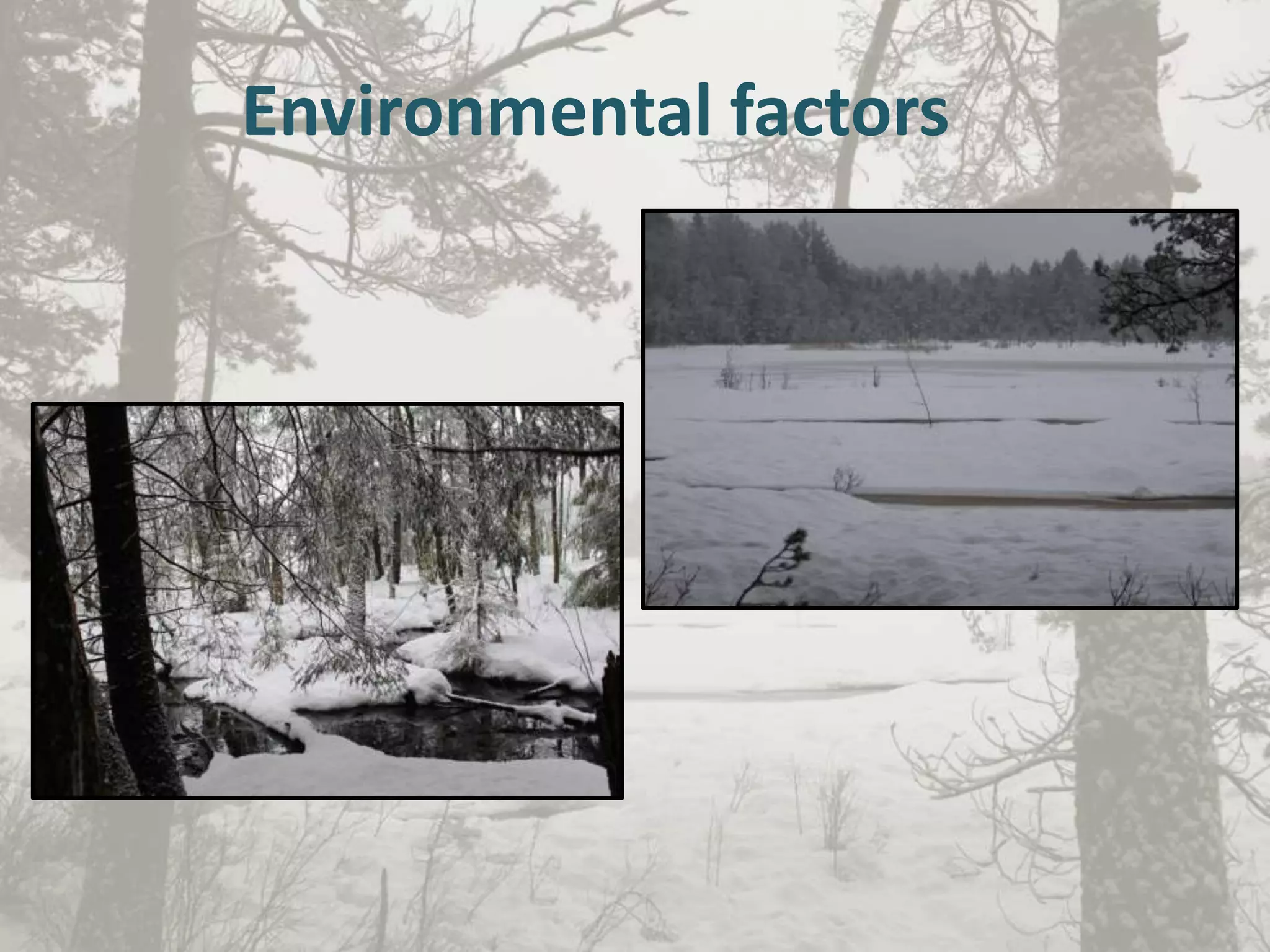 Power point exp. | PPT