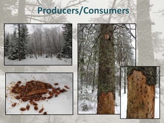 Power point exp. | PPTX