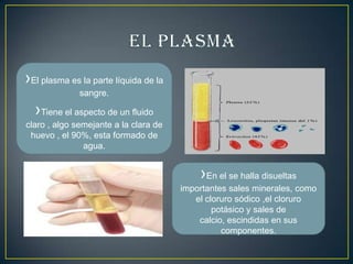 Power point exposición sangre | PPTX