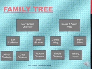 PowerPoint Final Project | PPT