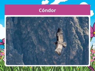 PowerPoint Flora y Fauna Chilena tercero | PPT