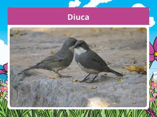 PowerPoint Flora y Fauna Chilena tercero | PPT