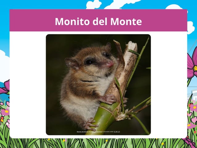 PowerPoint Flora y Fauna Chilena tercero | PPT