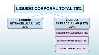 LIQUIDOS CORPORALES Y FLUIDOTERAPIA | PPTX