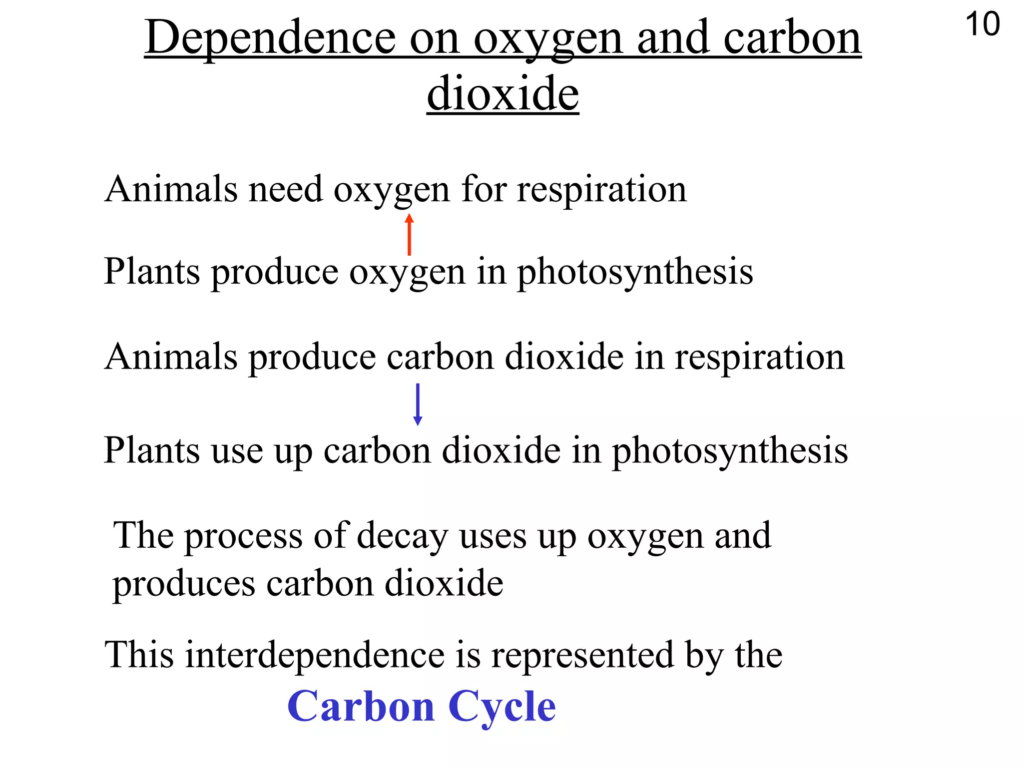 Powerpoint food webs, carbon cycle | PPT