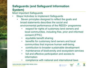 Sharing first experiences on REDD+ Safeguards and Related Benefit ...