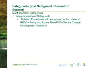 Sharing first experiences on REDD+ Safeguards and Related Benefit ...
