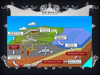 Powerpoint for igneous rocks by sophia and danny | PPTX