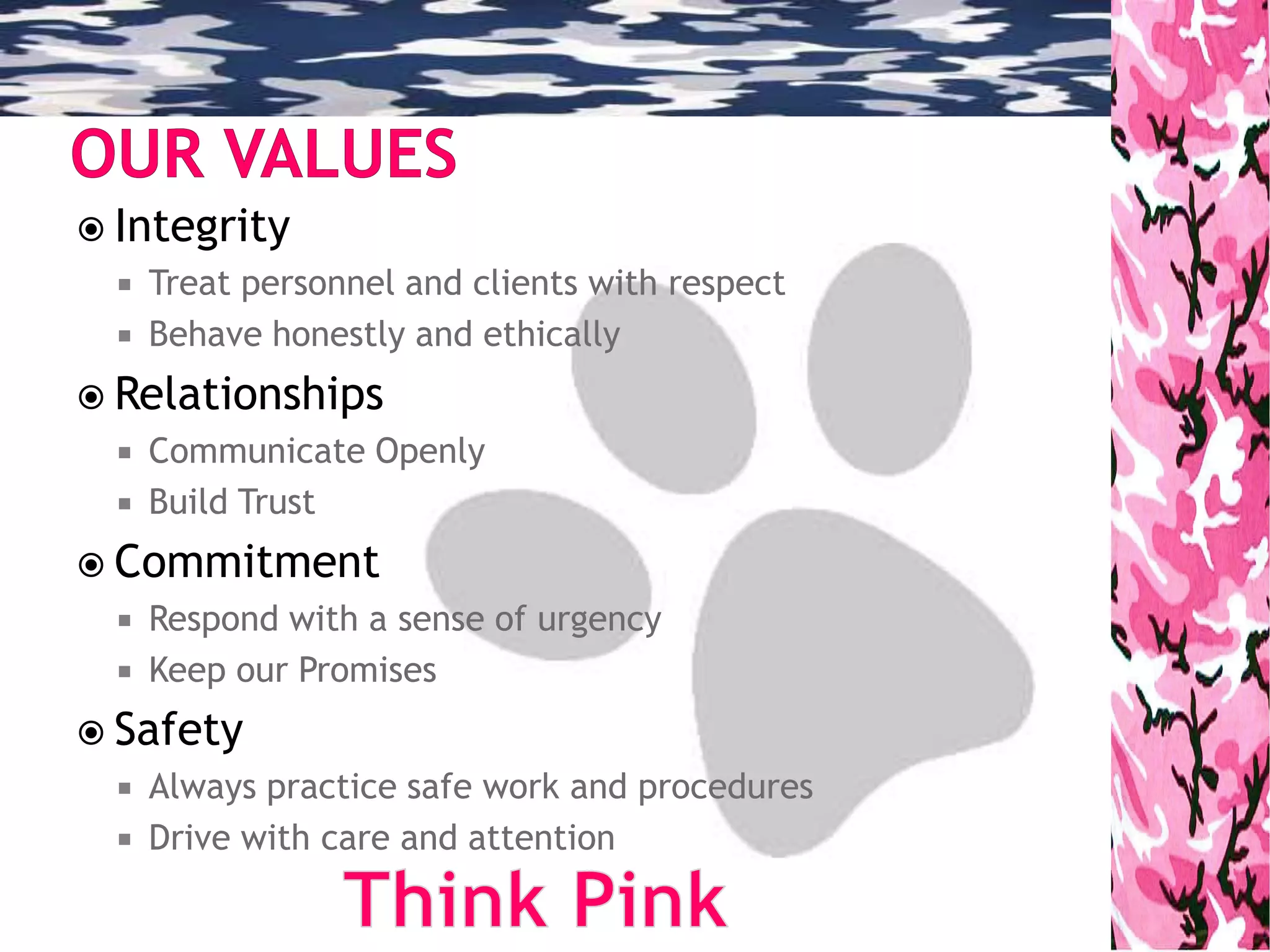 Pink Panther Express by Rebecca Cole | PPT