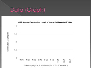 Powerpoint for science experiment | PPTX