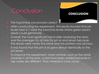 Powerpoint for science experiment | PPTX