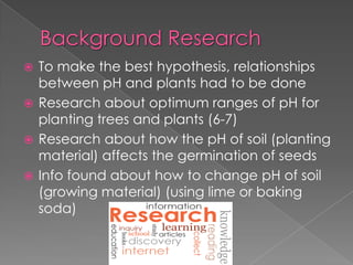 Powerpoint for science experiment | PPTX