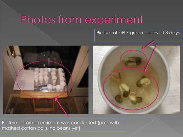 Powerpoint for science experiment | PPTX