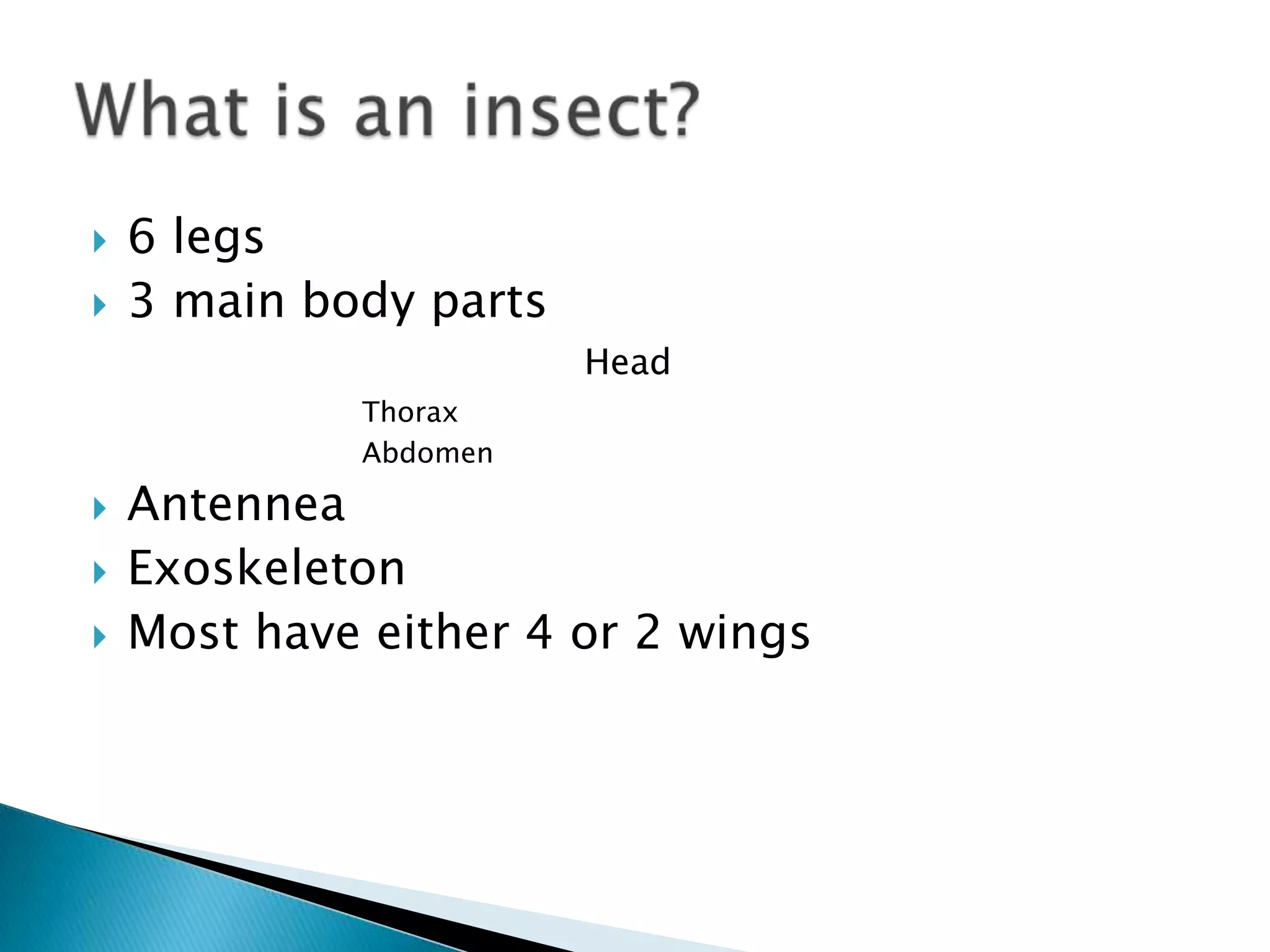 INSECTS | PPTX | Beekeeping | Hobbies & Interests