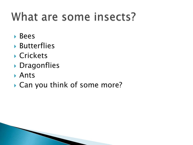 INSECTS | PPTX | Beekeeping | Hobbies & Interests