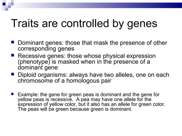 Powerpoint genetics 1 | PPT