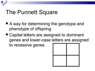 Powerpoint genetics 1 | PPT